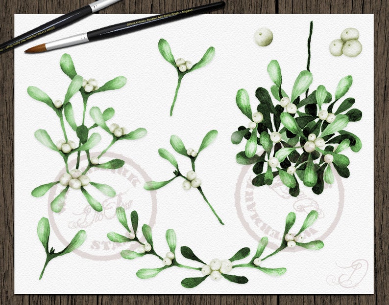 Watercolor mistletoe clipart winter clip art christmas flowers | Etsy