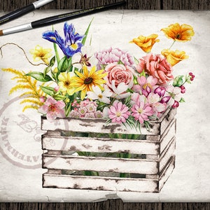 American Watercolor State Flowers Clipart United States America Clip ...