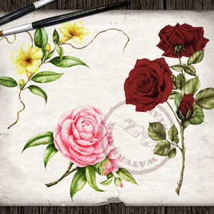 American Watercolor State Flowers Clipart United States America Clip ...