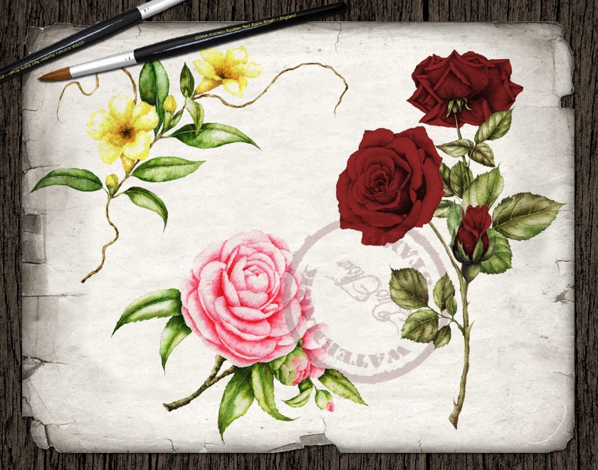 American Watercolor State Flowers Clipart United States America Clip ...