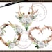 Antlers Clipart Rose Woodland White Floral Deer Watercolor Forest ...
