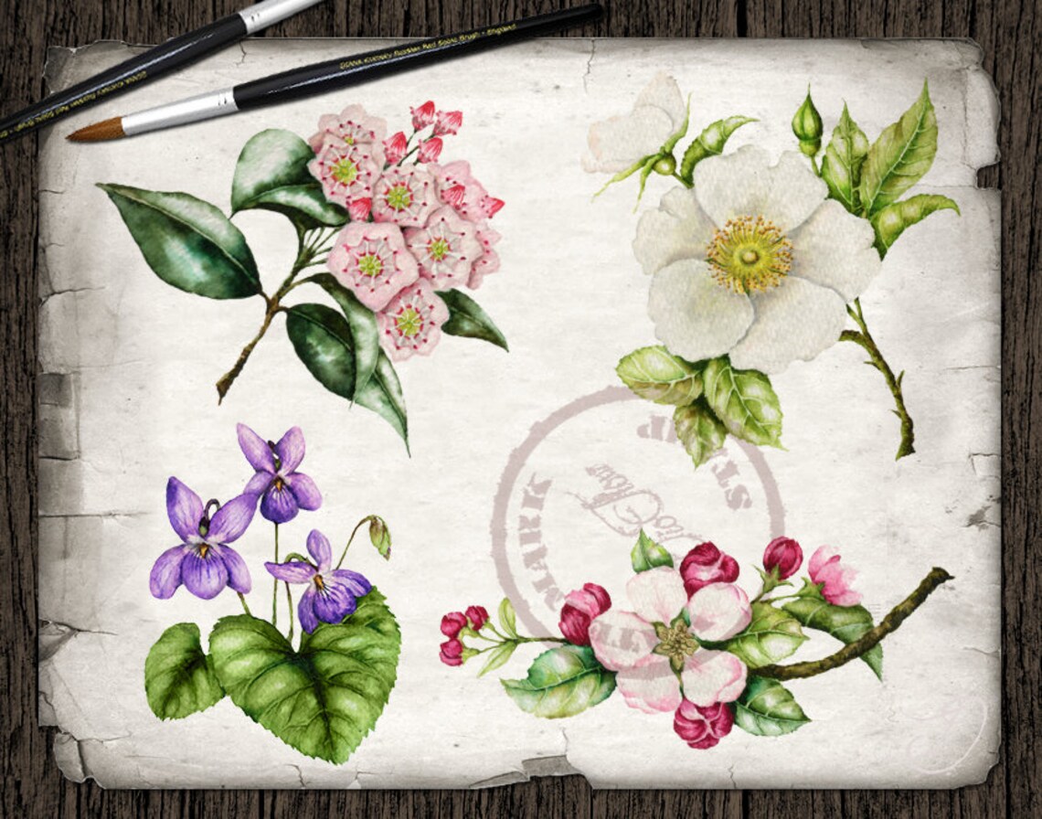 Watercolor State Flowers Clipart United States America Clip - Etsy