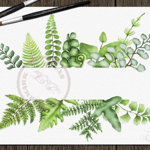 Watercolor Fern Clipart Greenery Frames Clip Art Ferns Leaf Leaves ...