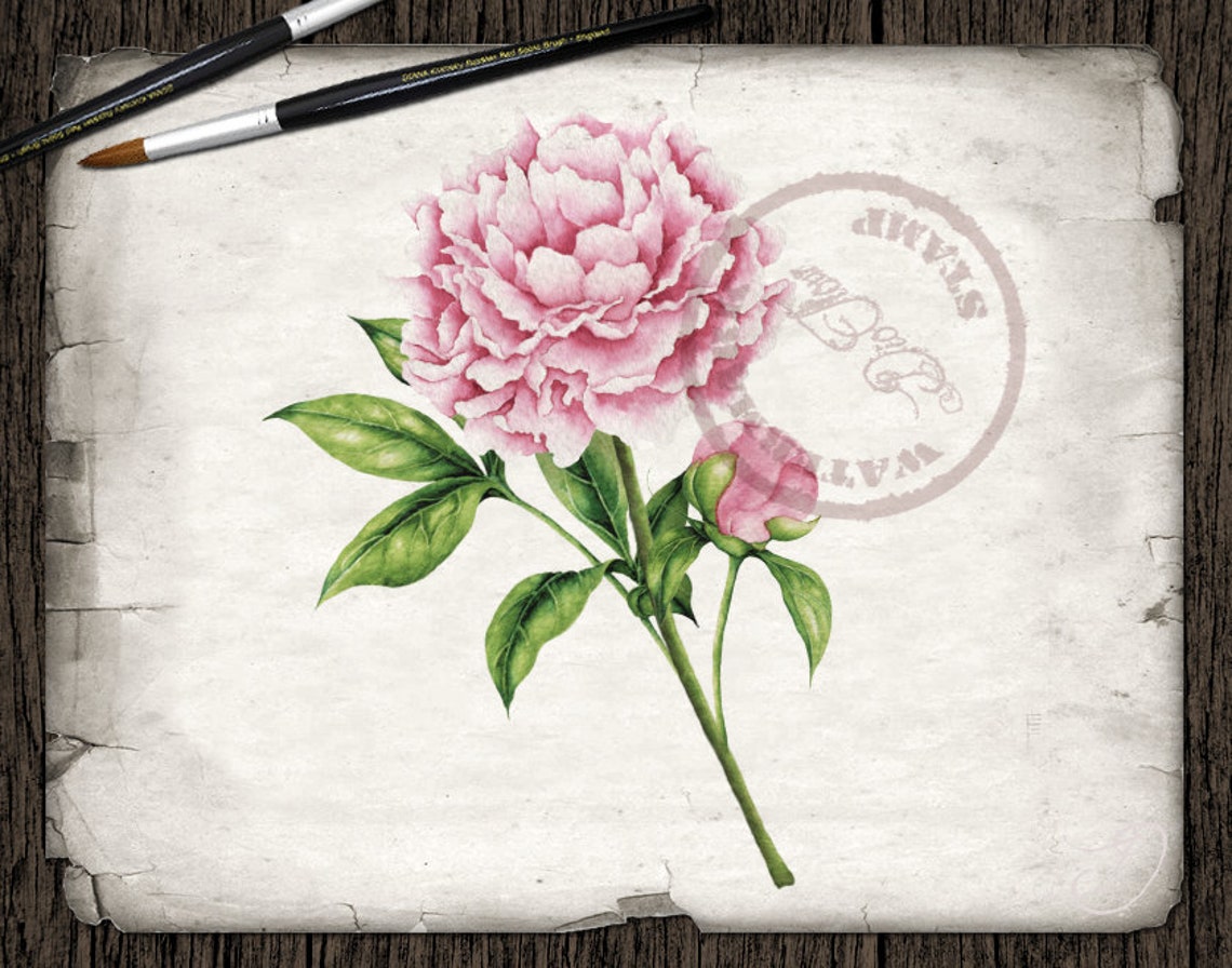 Watercolor State Flowers Clipart United States America Clip - Etsy