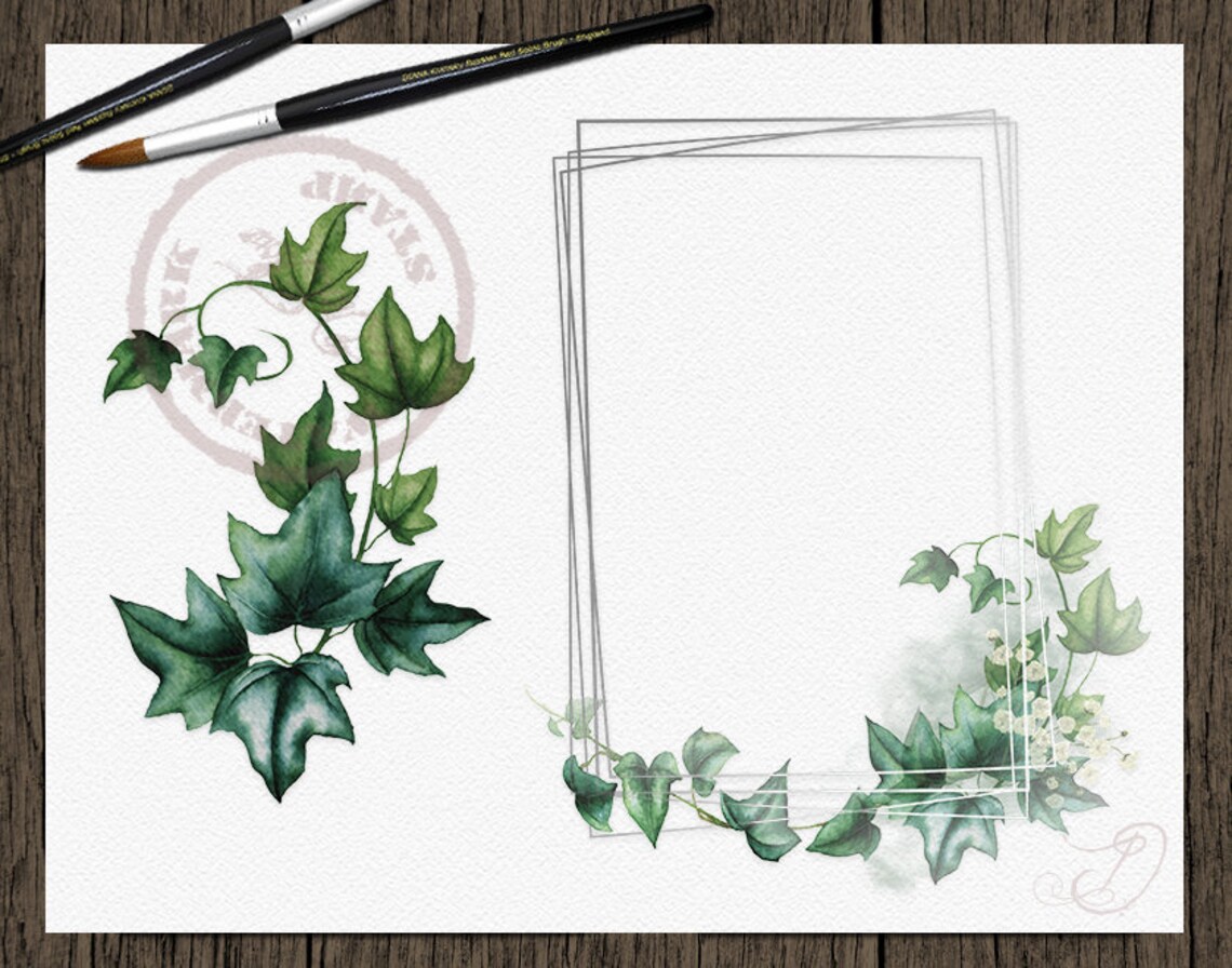 Aquarell Greenery Efeu Clipart Rahmen Aquarell Clip Art Reben Blatt ...