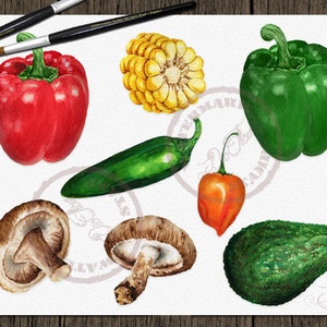 Watercolor Vegetables Clipart Vegetable Clip Art Tomato Avocado Pepper ...