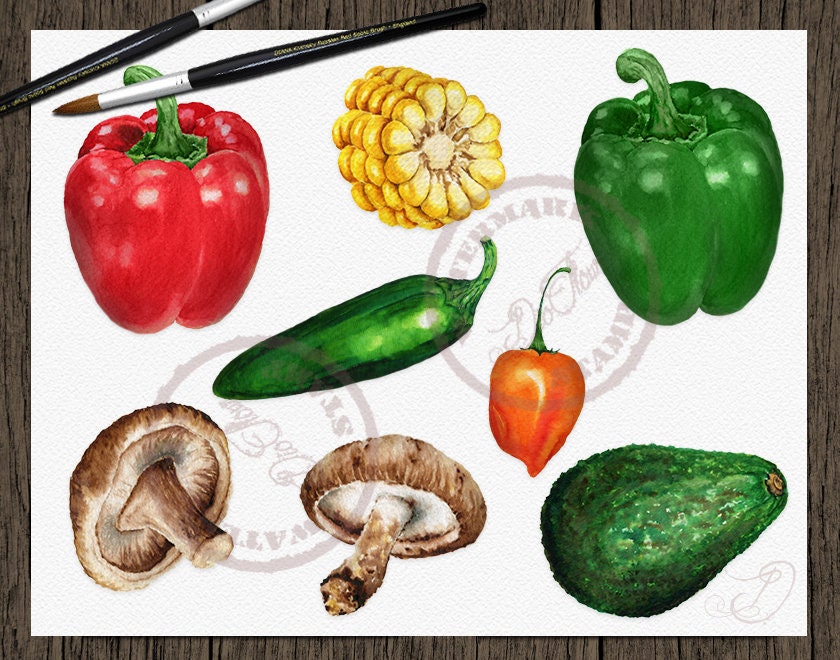 Watercolor Vegetables Clipart Vegetable Clip Art Tomato | Etsy