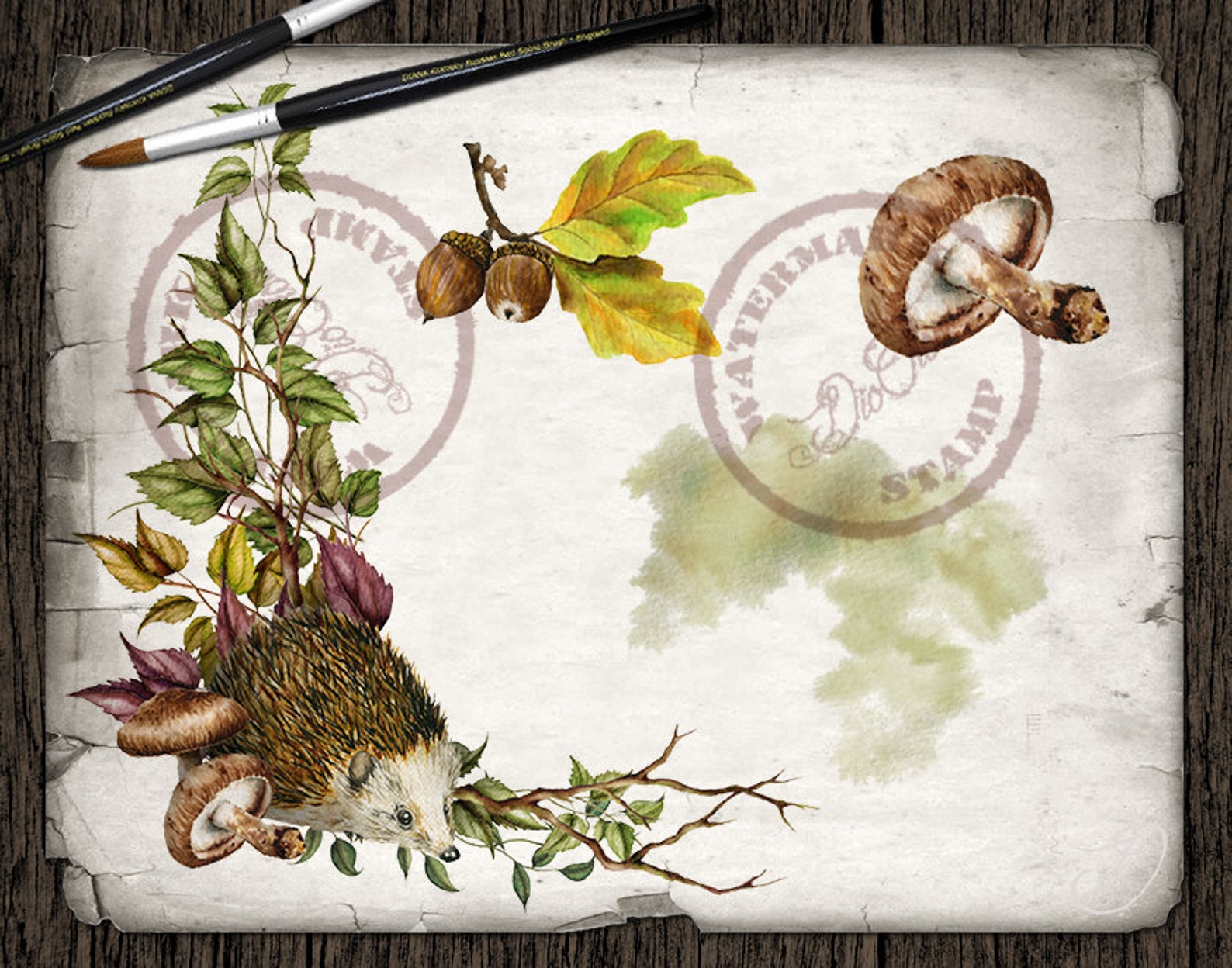 Watercolor Hedgehog Clipart Fall Autumn Clip Art Leaves Illustration ...