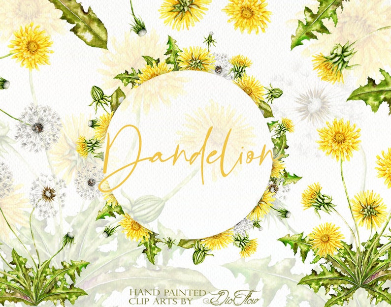 Dandelion Clipart Watercolor Dandelion Flowers Yellow Flowers Clip Art ...