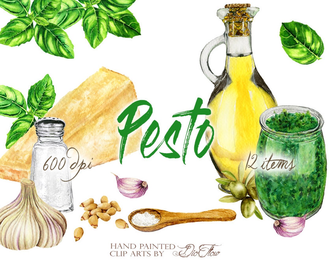 Watercolor Pesto Clipart Clip Art Basil Pine Nut Parmesan Pesto ...