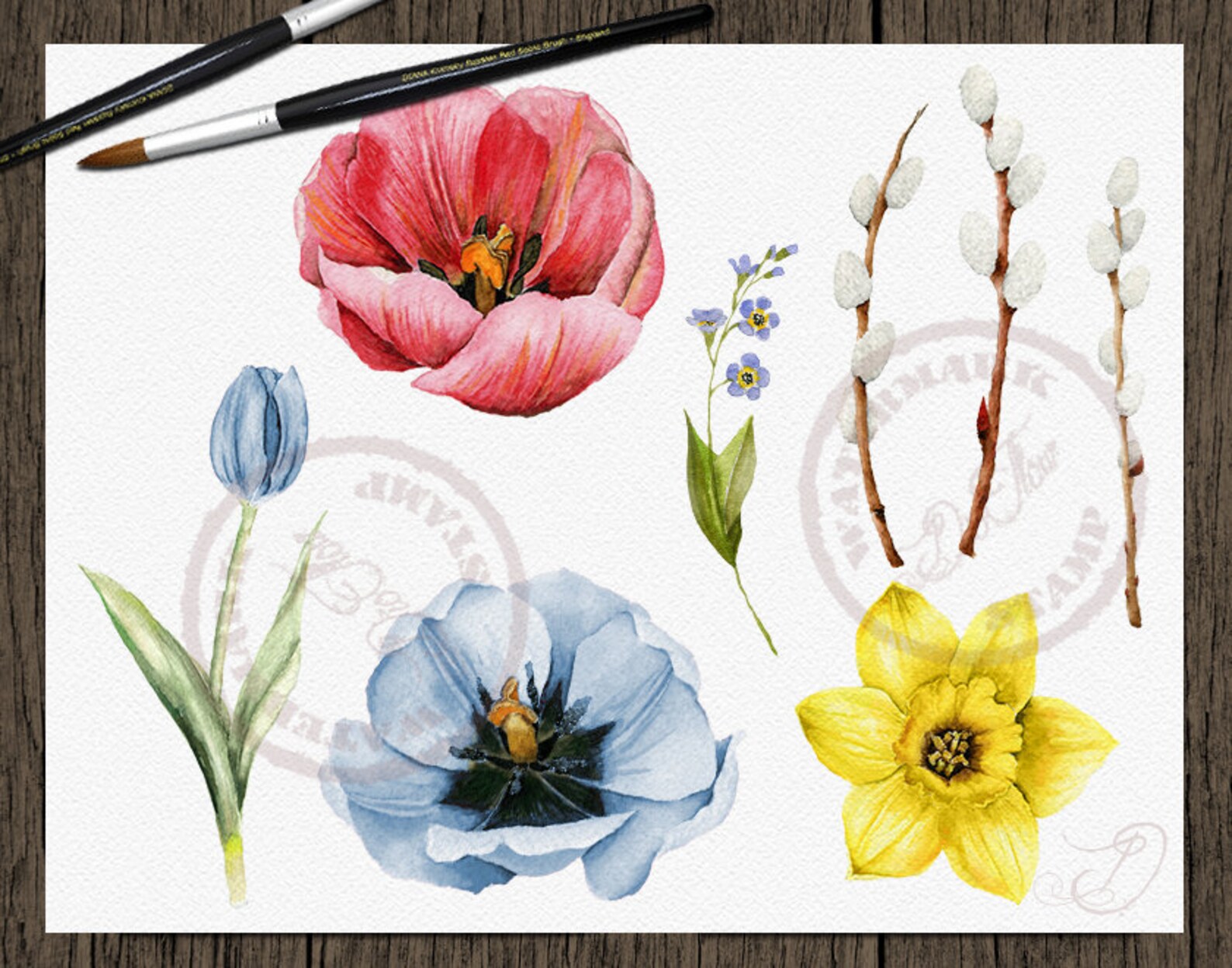 Watercolor Spring Flowers Clipart Daffodil Clip Art Tulip | Etsy