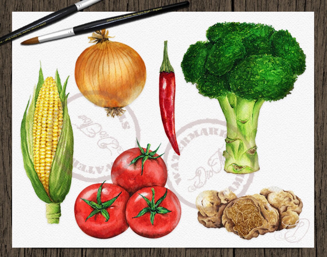 Watercolor Vegetables Clipart Vegetable Clip Art Tomato | Etsy