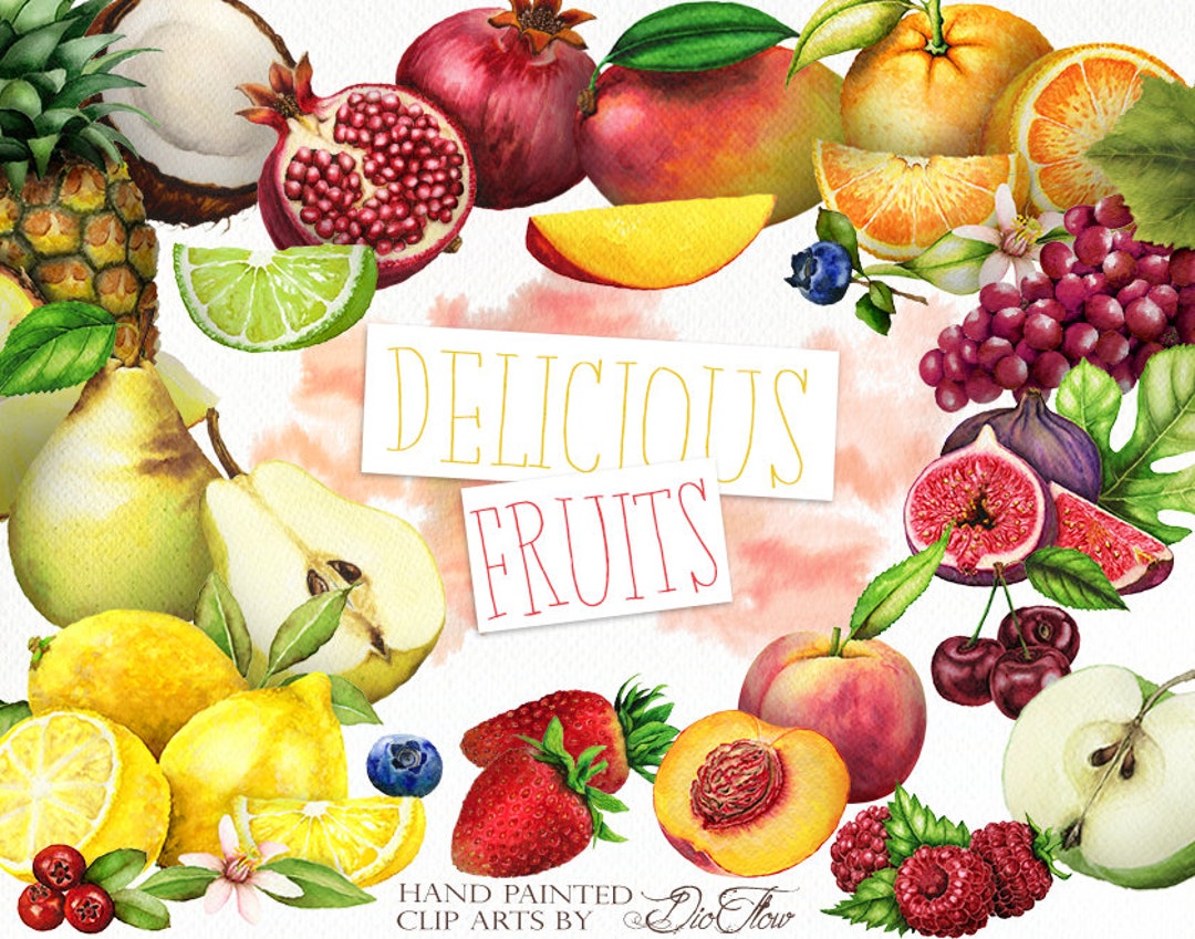 Watercolor Fruits Clipart Fruit Clip Art Fruity Illustration Decor ...
