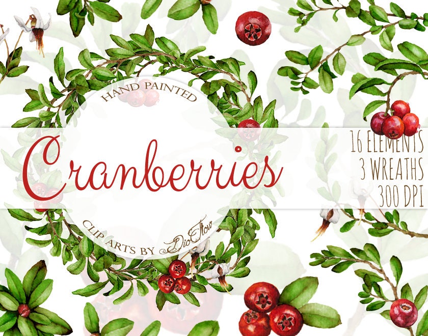 Cranberries Clip Art