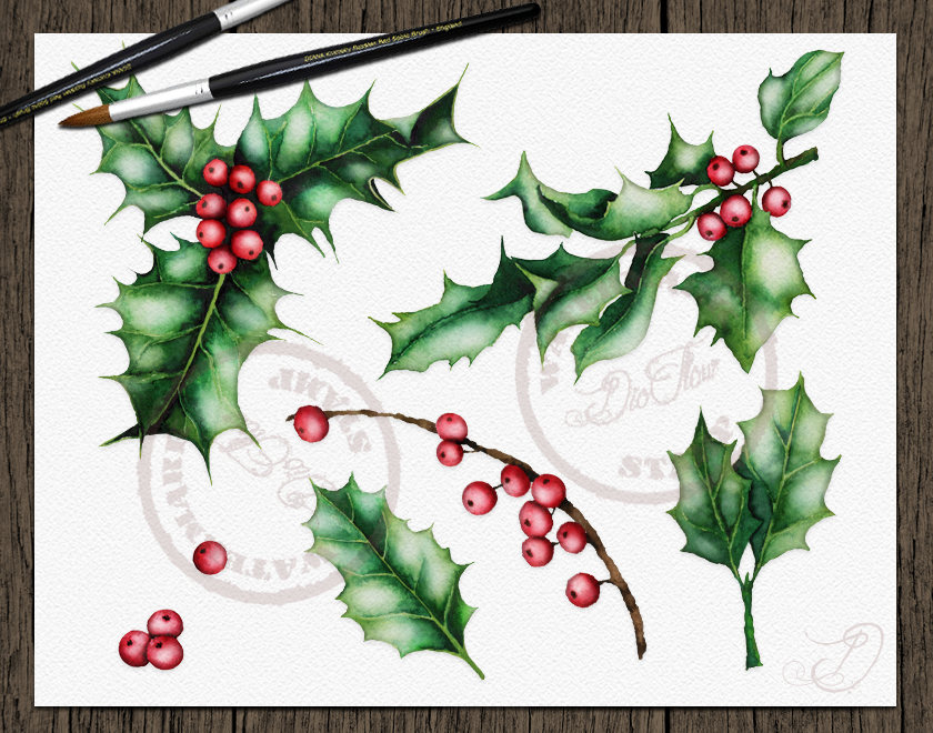 Papercraft Paper, Party & Kids Holly frames Green holly wrapping paper ...