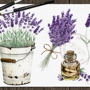 Watercolor Lavender Clipart Vintage Lavandula Clip Art Flower Purple ...