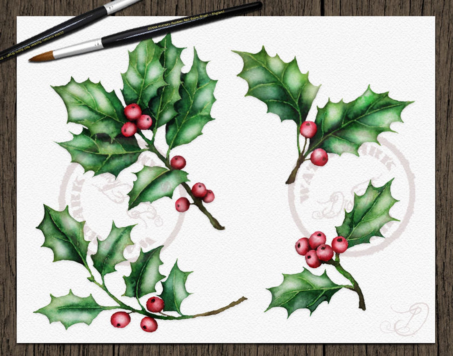 Watercolor holly clipart christmas clip art winter flowers | Etsy