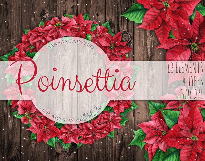 Watercolor Poinsettia Clipart Christmas Clip Art Winter | Etsy
