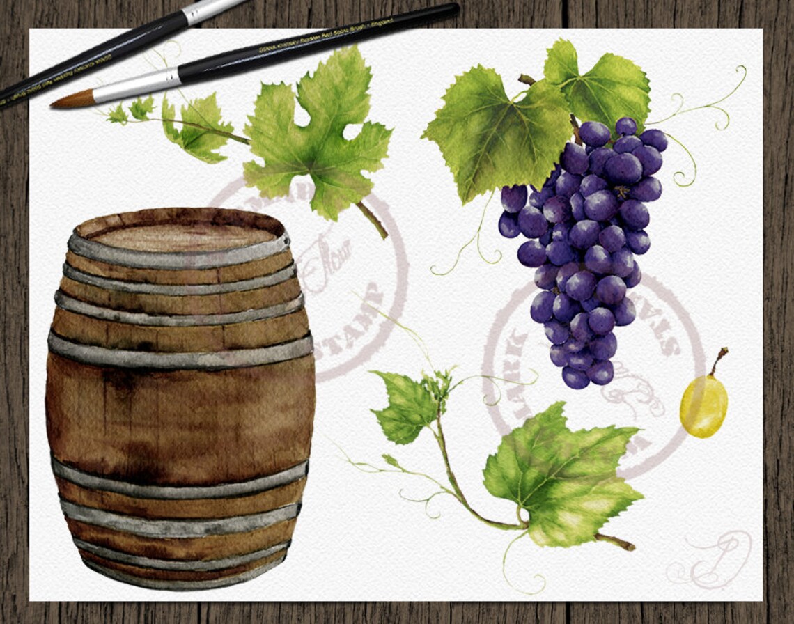 Grapes Clipart Watercolor Grape Wine Clip Art Greenery Vines - Etsy