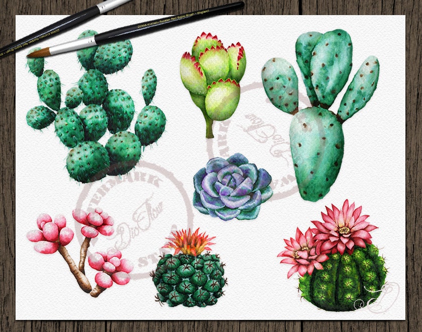 Watercolor Cactus Cacti Clipart Desert Succulent Clip Art - Etsy