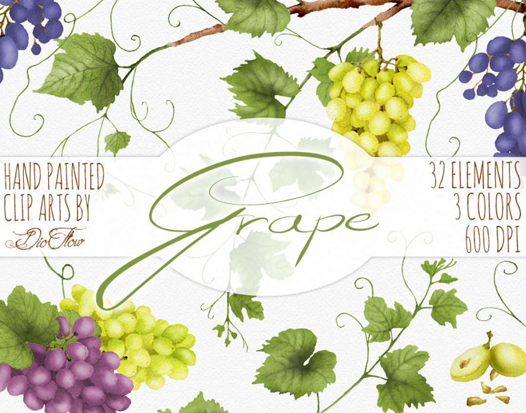 Grapes Clipart Watercolor Grape Wine Clip Art Greenery Vines Leaves ...