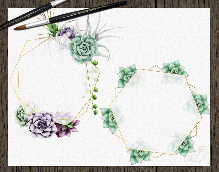Watercolor Succulent Geometric Clipart Frame Succulent Frames Clip Art ...