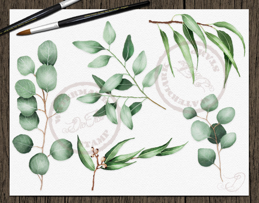 Watercolor Greenery Clipart Leaf Clipart Eucalyptus Woodland Clip Art ...