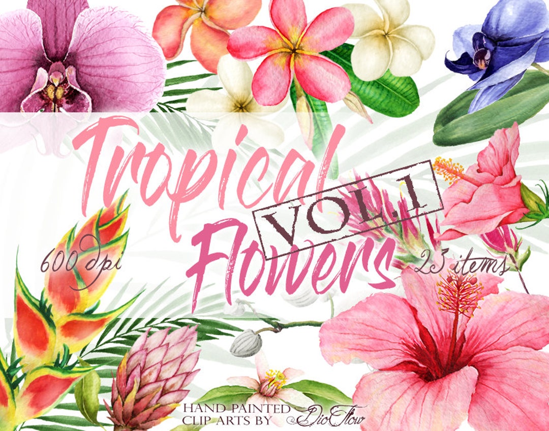 Watercolor Tropical Flowers Clipart Tropic Clip Art Hibiscus Orchid ...