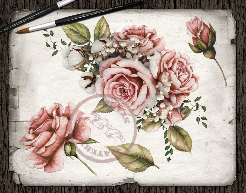 Watercolor Roses Cotton Clipart Vintage Rose Pink Blush Clip Art Rose ...