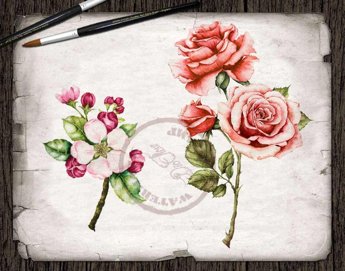 Watercolor State Flowers Clipart United States America Clip Art Symbols ...