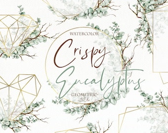 Watercolor Greenery Geometric Clipart Frame Greenery Frames | Etsy