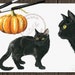 Watercolor Halloween Black Cat Fall Autumn Pumpkin Clipart Leaves ...