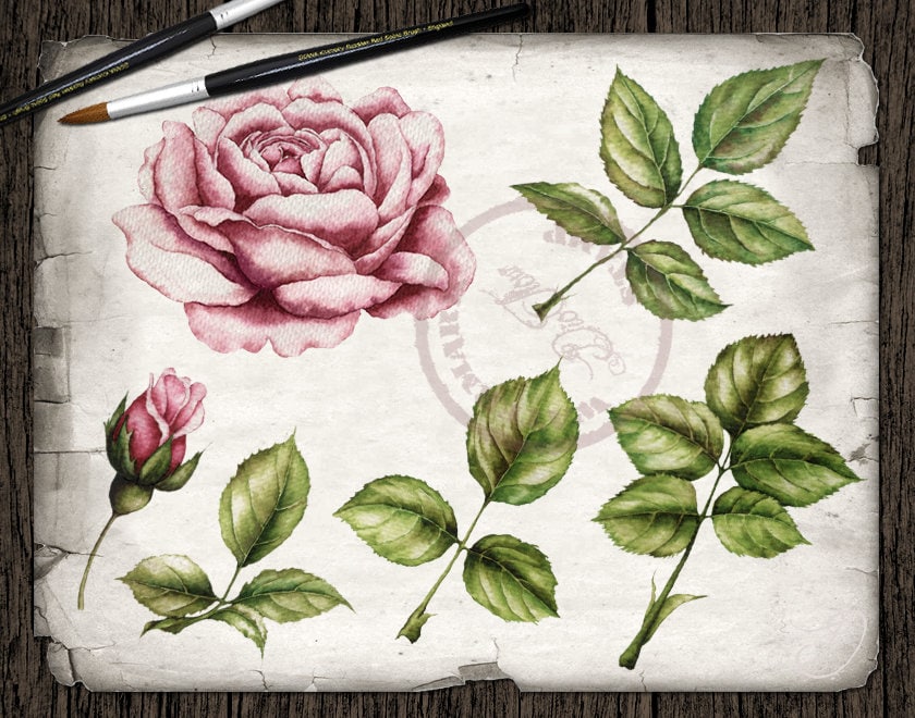 Watercolor Roses Clipart Vintage Rose Pink Clip Art Rose Teapot Clipart ...