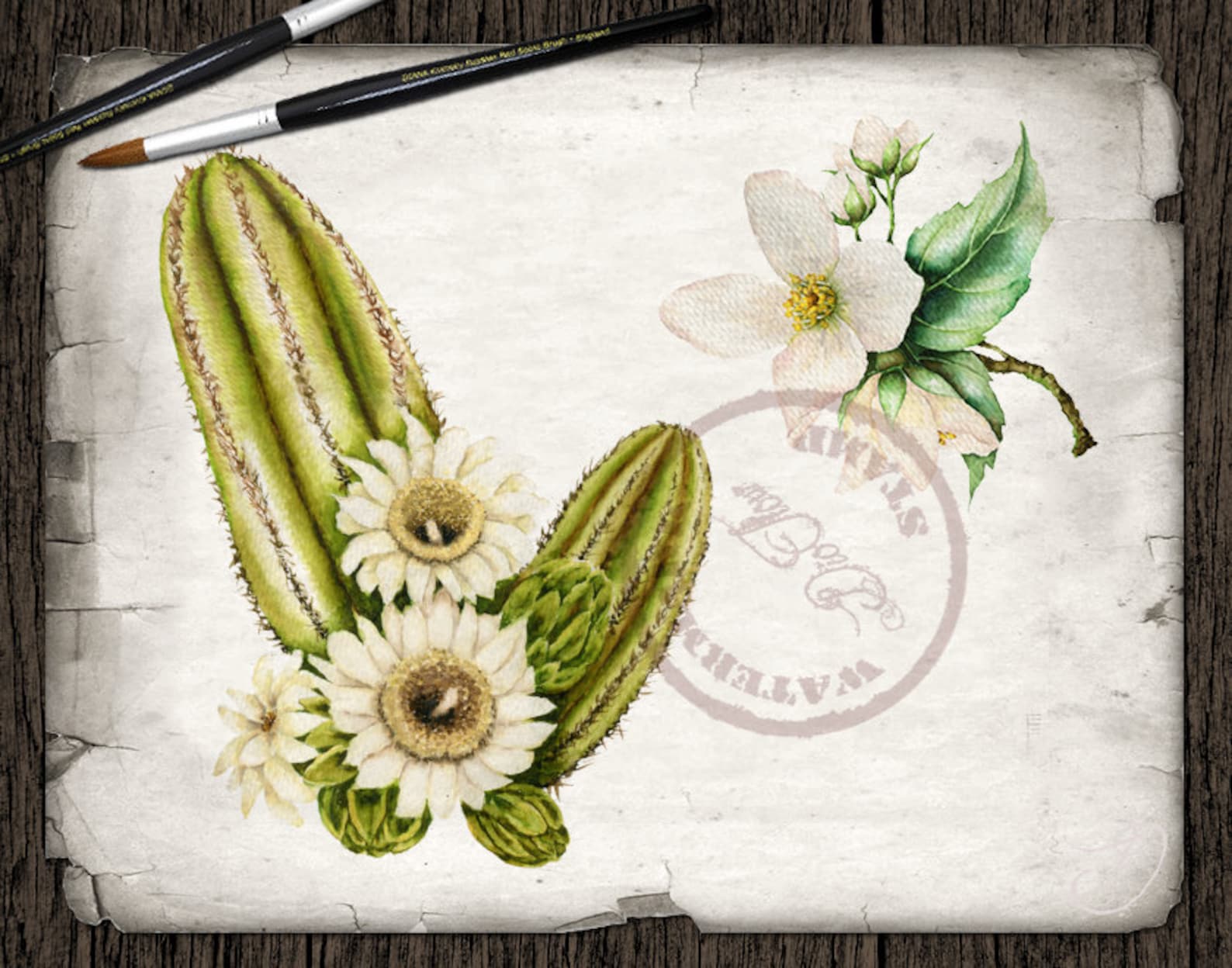 Watercolor State Flowers Clipart United States America Clip | Etsy