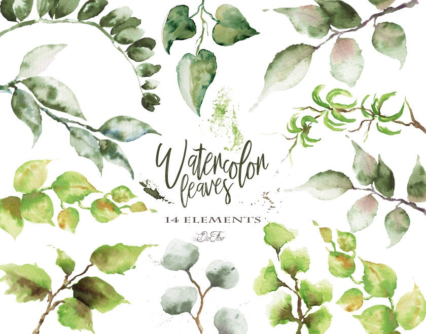 Scrapbooking Watercolor eucalyptus branches and leaves clipart ...