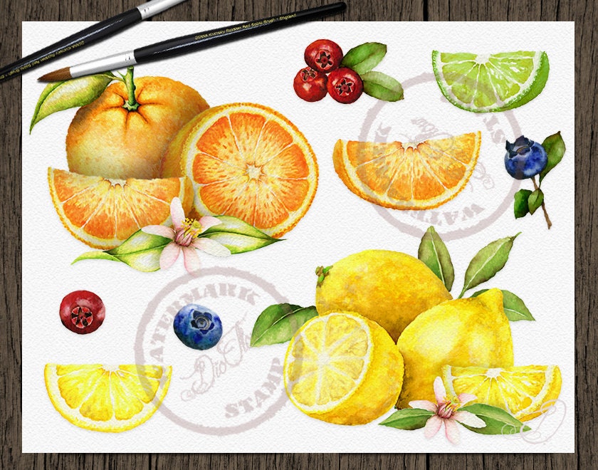 Watercolor Fruits Clipart Fruit Clip Art Fruity Illustration - Etsy