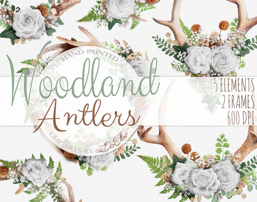 Antlers Clipart Rose Woodland White Floral Deer Watercolor Forest ...