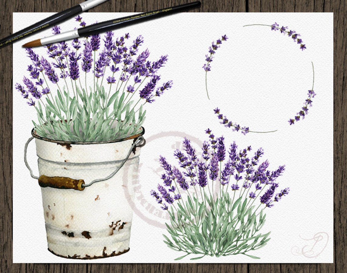 Lavender Clipart Watercolor Clipart Vector Lavender Clip Art Parchment ...