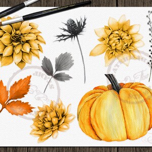 Watercolor Halloween Bat Fall Autumn Pumpkin Clipart Leaves Flowers ...