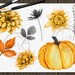 Watercolor Halloween Bat Fall Autumn Pumpkin Clipart Leaves Flowers ...
