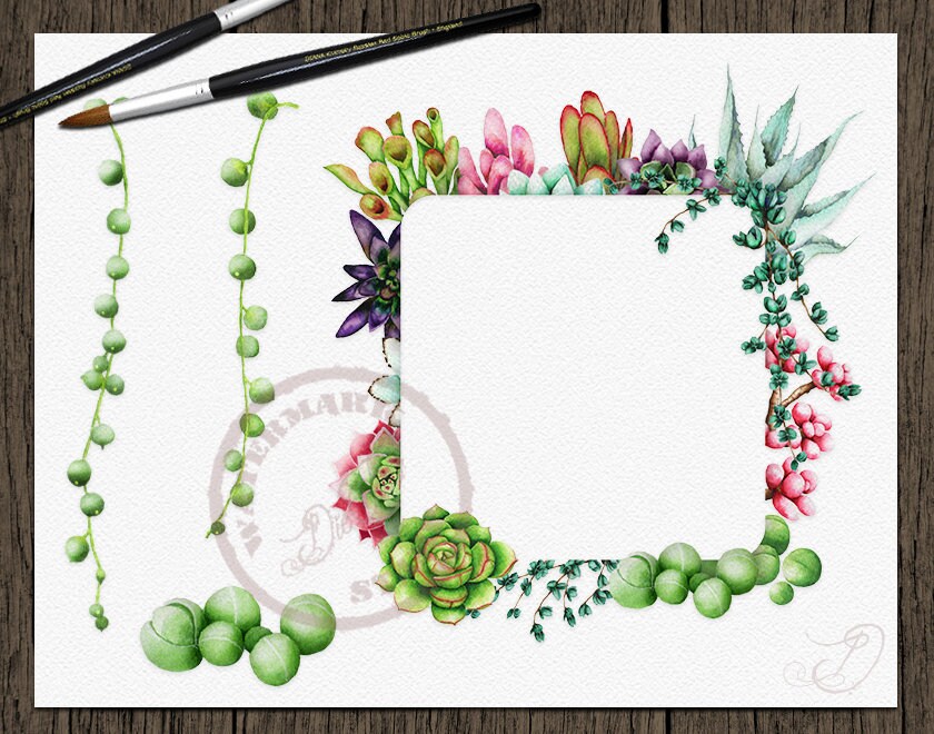 Watercolor Succulent Clipart Watercolor Cactus Clip Art Air Plant Aloe ...
