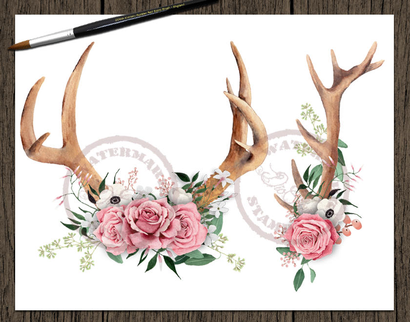 Watercolor Antlers Rose Clipart Roses Woodland Floral Deer Antler ...