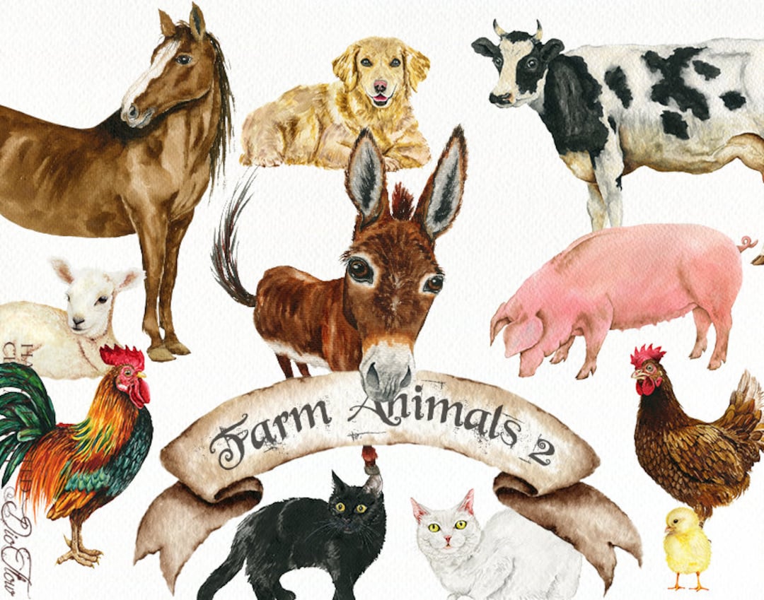 Watercolor Farm Animals Clipart Farmhouse Clip Art Animals Country ...