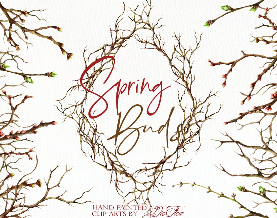 Watercolor Branches Clipart Spring Buds Twigs Clip Art Branches Sprig ...