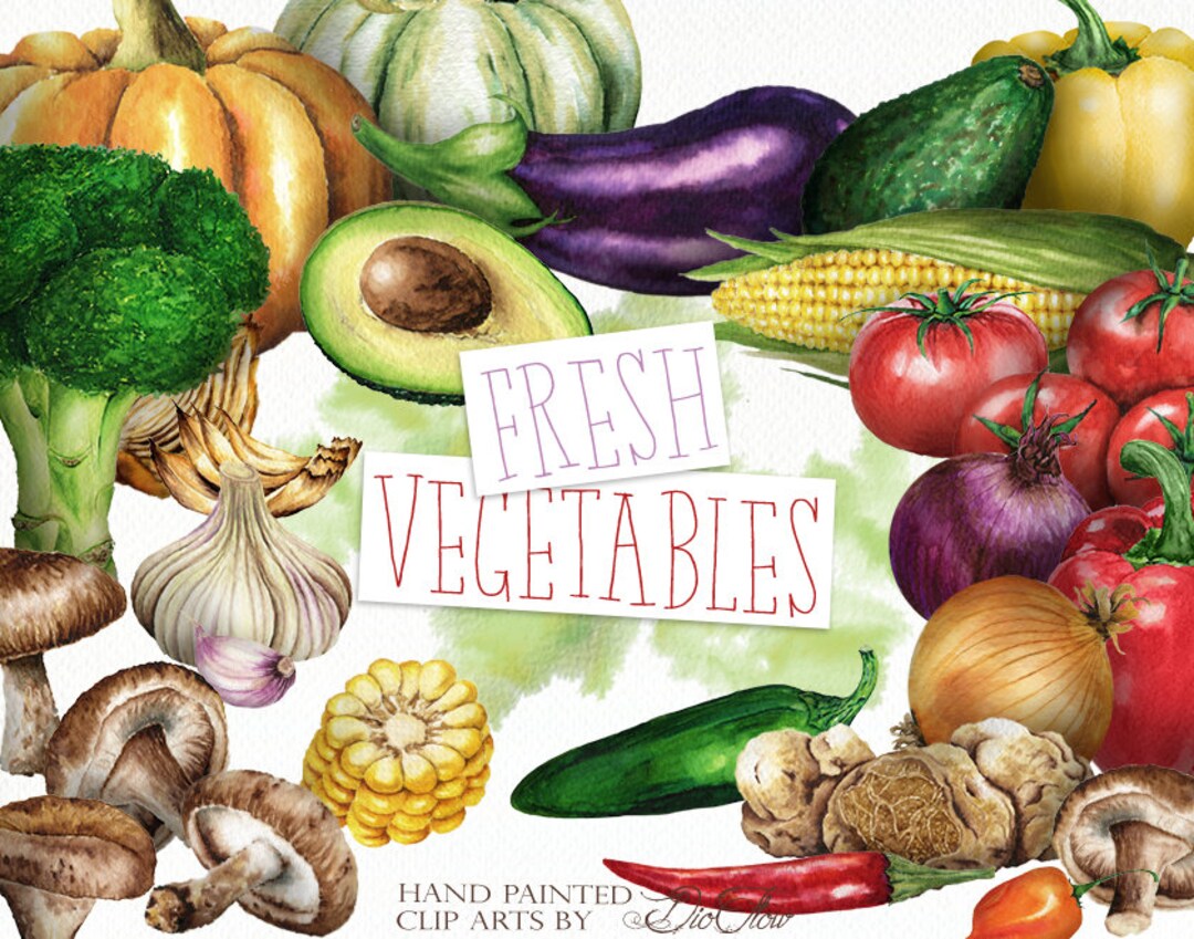 Watercolor Vegetables Clipart Vegetable Clip Art Tomato Avocado Pepper ...