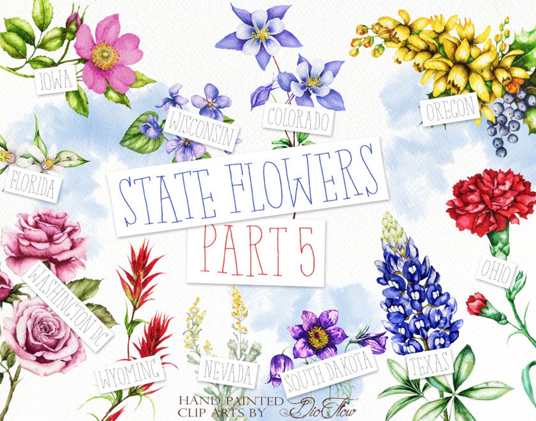 American Flowers Watercolor Clipart United States America Bundle Clip ...