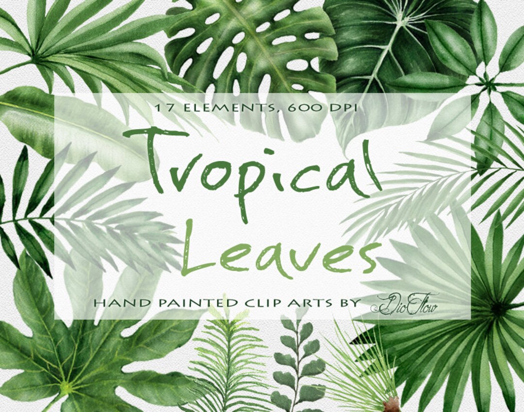 Watercolor Tropical Leaves Clipart Palm Leaf Greenery Clip Art ...