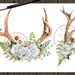 Antlers Clipart Rose Woodland White Floral Deer Watercolor Forest ...