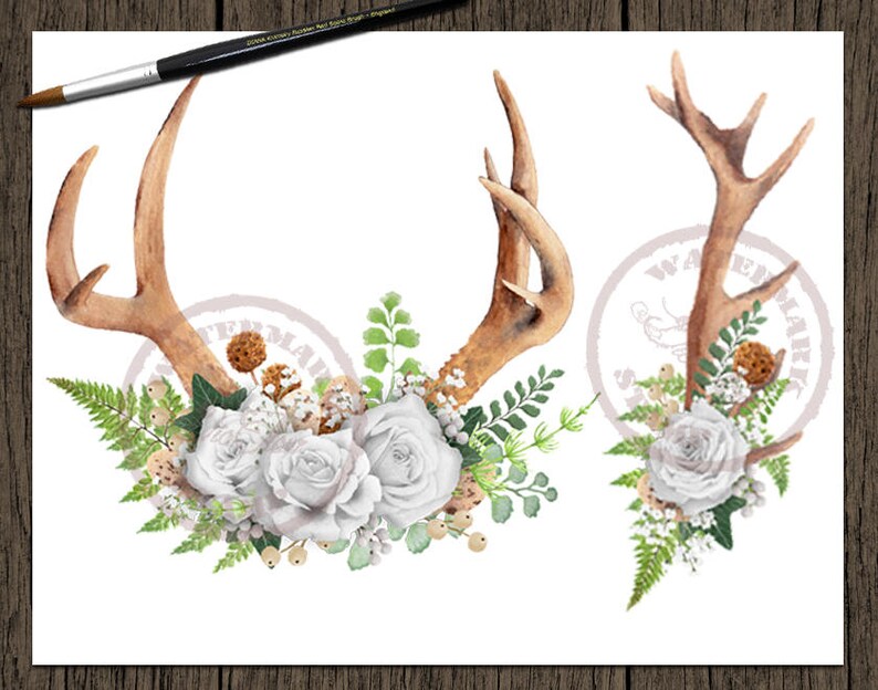 Antlers Clipart Rose Woodland White Floral Deer Watercolor Forest ...