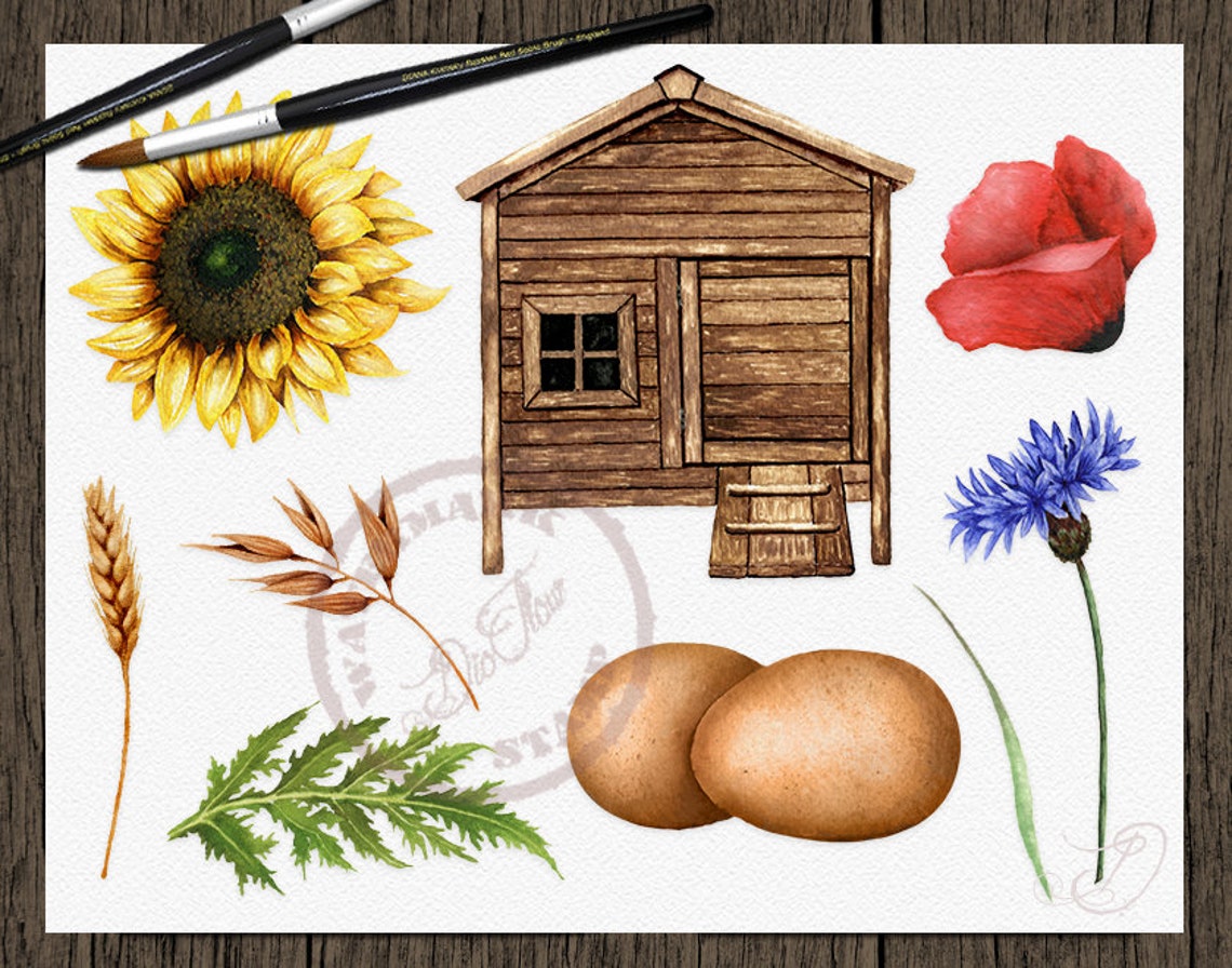 Watercolor Hen Chick Clipart Farm Chicken Coop Flowers Clip - Etsy
